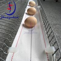 China Zhongshen High Quality Nylon Egg Collection Belt For Poultry Layer Farm for sale