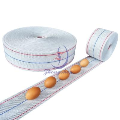China Zhongshen Poultry Egg Belts for Layer Farm Egg Safe Transport and Minimal Breakage for sale