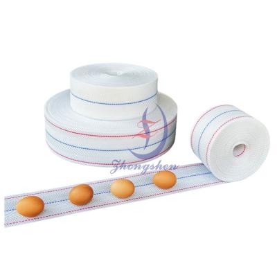 China China Soure Factory Egg Conveyor Belts for Layer Farm Chicken Cages for sale