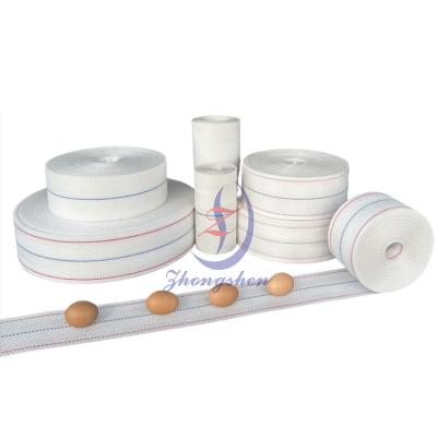 China China Source Manufacturer Egg Conveyor Belt of Egg Collecting System in Chicken House for sale