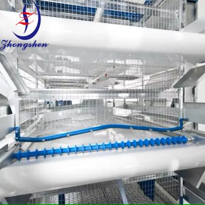 China Customization Poultry PP/PE Manure Removal Belts from Zhongshen for sale