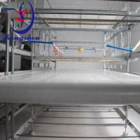 China Zhongshen PP Manure Cleaning Belt for Layer/Broiler Poultry Chicken Cage for sale
