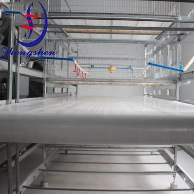 China Zhongshen PP Manure Cleaning Belt for Layer/Broiler Poultry Chicken Cage for sale