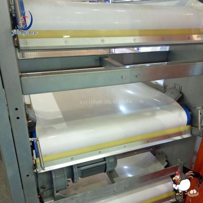 China Poultry  Broiler Cage/Laying Hen Cage PP Manure Conveyor Belt for sale