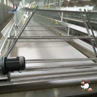 China Chicken Cage PP Poultry Breeding Customized Manure Cleaning Belt for sale