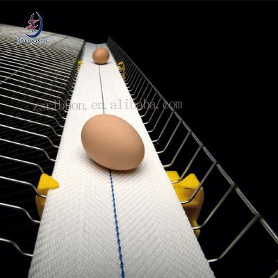 China Customizable Length Egg Conveyor Belt with Lower than 0.3% Eggbrokenrate and Long Service Life for Poultry Layer Chicken Cage for sale