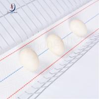 China Factory Direct Sale PP Egg Conveyor Belt with Customized Length, Lower than 0.3% Egg Broken Rate, and 1.0-1.3mm Thickness for Chicken Farms for sale
