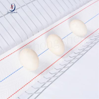 China Factory Direct Sale PP Egg Conveyor Belt with Customized Length, Lower than 0.3% Egg Broken Rate, and 1.0-1.3mm Thickness for Chicken Farms for sale