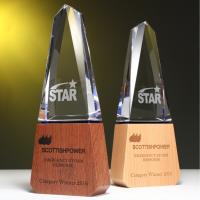 China Individualized Custom Resin Trophies Crystal And Solid Wood Combination Trophy for sale
