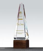 China Individualized Custom Resin Trophies Crystal And Solid Wood Combination Trophy for sale