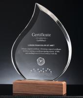 China Wooden Base Custom Resin Trophies Personalized Crystal Trophy for sale