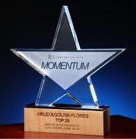 China Wooden Base Custom Resin Trophies Personalized Crystal Trophy for sale