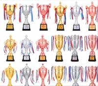 China Customized Metal Trophy Cup 32cm Hight Tear Resistant for sale