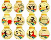 China Wear Resistant Metal And Resin Medals Custom Logo for sale