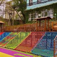 China Colorful Nylon Nest Climbing Net For Playground for sale