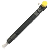 China High Durability Fuel Injector A6710170121 with OEM Availability and 12-Month Warranty for Ssangyong Car Brands for sale