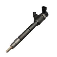 China 0445110768 Diesel Injector Assembly with Anti-corrosion Coating and High Wear Resistance for Direct Replacement in Changan Hunter for sale