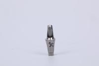 China Multi Angle Adjustable Grade 4 Medical Titanium Dental Abutment for Implant Restorations for sale