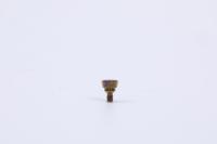 China Dental Cover Screw Grade 5 Titanium Alloy Ti-6Al-4V Precisely Engineered Threads for sale