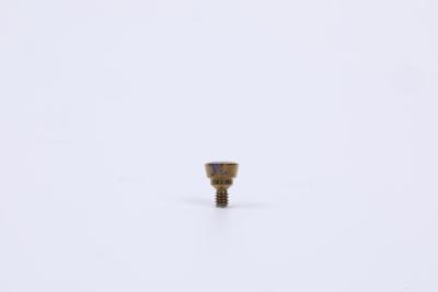 China Dental Cover Screw Grade 5 Titanium Alloy Ti-6Al-4V Precisely Engineered Threads for sale