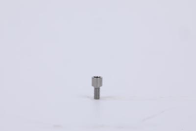 China Custom Dental Bridge Screw Grade 5 Medical Titanium Alloy High Mechanical Strength OEM for sale