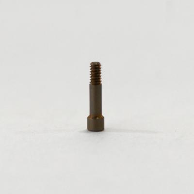 China Medical Grade Titanium Prosthetic Screws Ti-6Al-4V for Biotech Systems Long Term Stability for sale