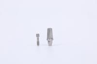 China High Strength Titanium Abutment For Megagen AnyRidge Platform Delivering Precise Gingival Contour And Long Stability for sale