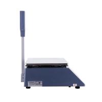 China High Precision Digital Weighing Scale RLS1000A/RLS1100A Barcode Label Printing Scale for sale
