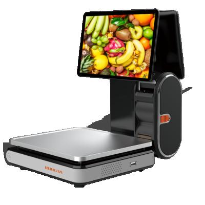 China AURORA Y2L All In One Scale Highly Accurate Lightweight Easy Installation for sale