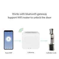 China Zinc Alloy Biometric Fingerprint Password Smart Door Lock Wireless lock for sale