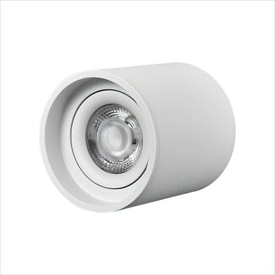 China Black Surface Mounted Cob Light , Epistar Ip44 Adjustable Downlights 0.008KW for sale
