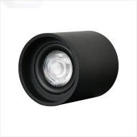 China Black Surface Mounted Cob Light , Epistar Ip44 Adjustable Downlights 0.008KW for sale
