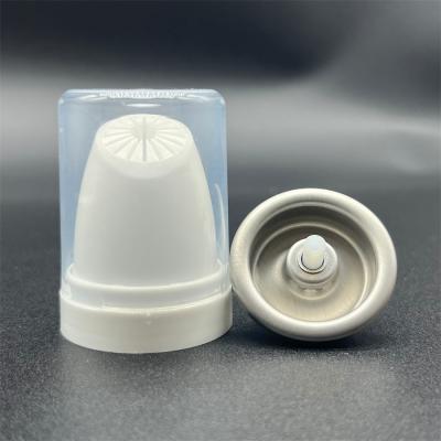 China Thermal-Protective Aerosol Hair Mousse Dispenser for Frequent Heat Tool Users with Damage Prevention and Style-Locking Technology for sale