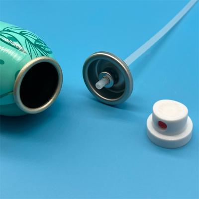 China Dry Shampoo Spray Valve with Clog-Resistant Design for Salon-Quality Styling for sale