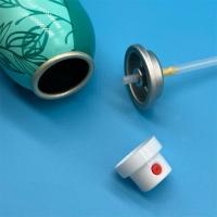 China Dry Shampoo Spray Valve with Anti-Clog Seal for Private Label Brands for sale