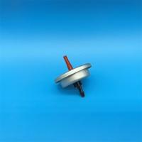China Versatile Plastic Stem Lighter Valve for Travel & Everyday Use - Secure Fit, User-Friendly for sale