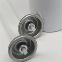 China Versatile Dry Shampoo Spray Valve for Beauty Products with Customizable Features​ for sale