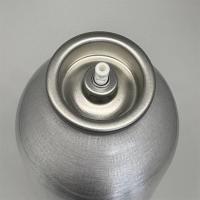 China High-End Tire Inflator Valve for Luxury Car Owners with Exquisite Design for sale