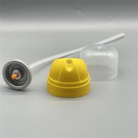 China Footwear Cleaning Spray Valve for Shoes & Sock Deodorizer Aerosol Can for sale