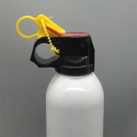 China Empty Aerosol Fire Extinguisher Aluminum Can And Valve For Fire Suppression for sale