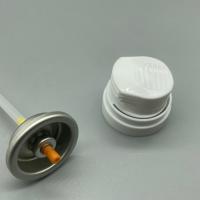 China Shaving Foam Valve for Home Grooming with Smooth Press & Anti-Clog Features for sale