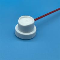 China Advanced Carburetor Cleaner Spray Valve for Reliable and Uniform Engine Cleaning Results for sale