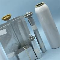 China Customized Size Aerosol Bag On Valve, Flexible Aerosol Pouch On Valve For Cosmetics & Household Sprays, Tailored Size Aerosol Bag-in-Valve For Precision Dispensing for sale