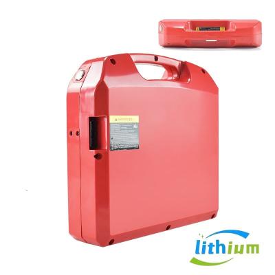 China 24V 20Ah LiFePO4 Electric Pallet Jack Battery for Forklift Golf Cart for sale