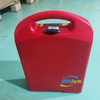 China Black Electric Forklift Lithium Ion Battery 24V 30Ah for Pallet Trucks for sale