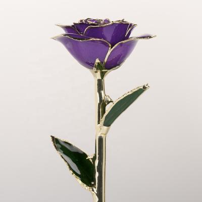China 24k Gold Trimmed Rose  Preserved Fresh Flower  Resin Preservation Eternal Rose Mother's Day Valentine's Day Christmas Gif for sale