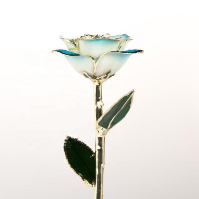 China 24k Gold Eternal Rose Flower Real Preserved Rose  Blue White Preserved Fresh Flower Preserved Gold Rose for sale