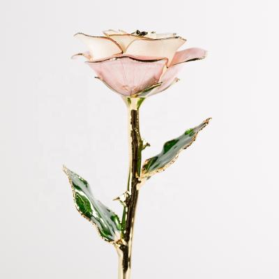 China 2020 Upgraded 24K Gold Dipped and Trimmed Real Preserved Fresh Eternal Rose Flower Wholesale Preserved Roses Factory for sale