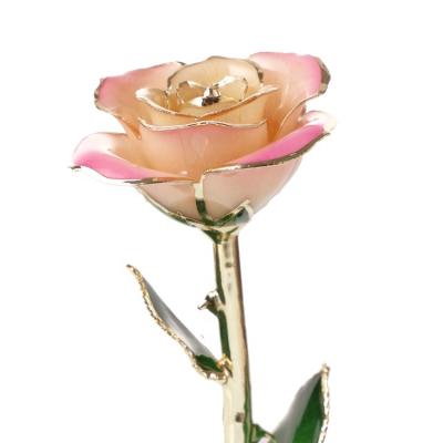 China Hot Sale Gold Trimmed  Rose Flower Girlfriend Gift 24k Gold Plated Natural Rose for Valentine's Day, Mother's Day Gifts for sale