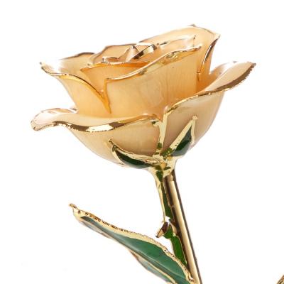 China Hot Sale Gold Dipped Real Rose Flower 24k Gold Rose Flower for Graduation  and Mother's Day Gifts for sale